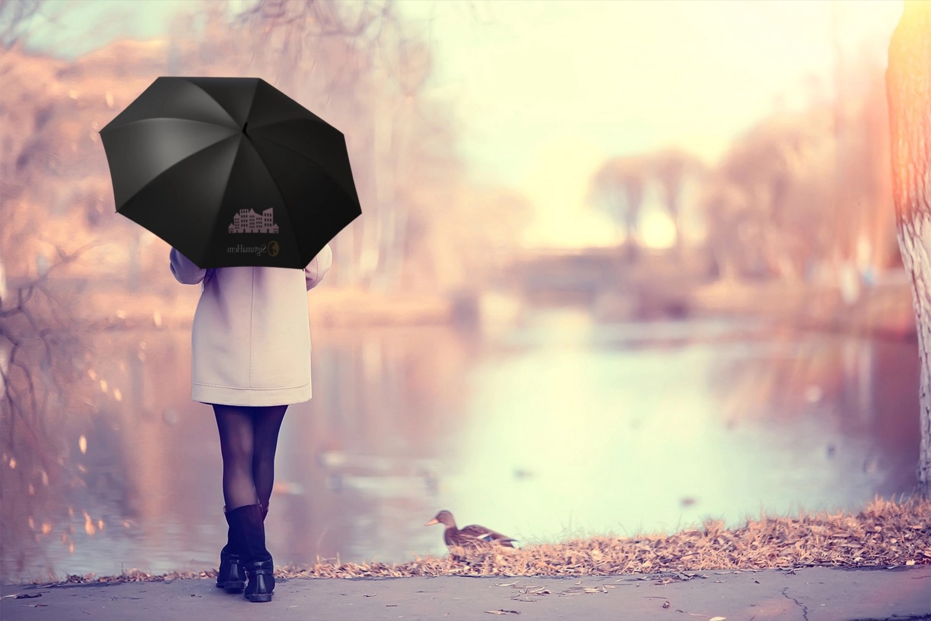 Så gick det för oss 2024 - Sigtunahem